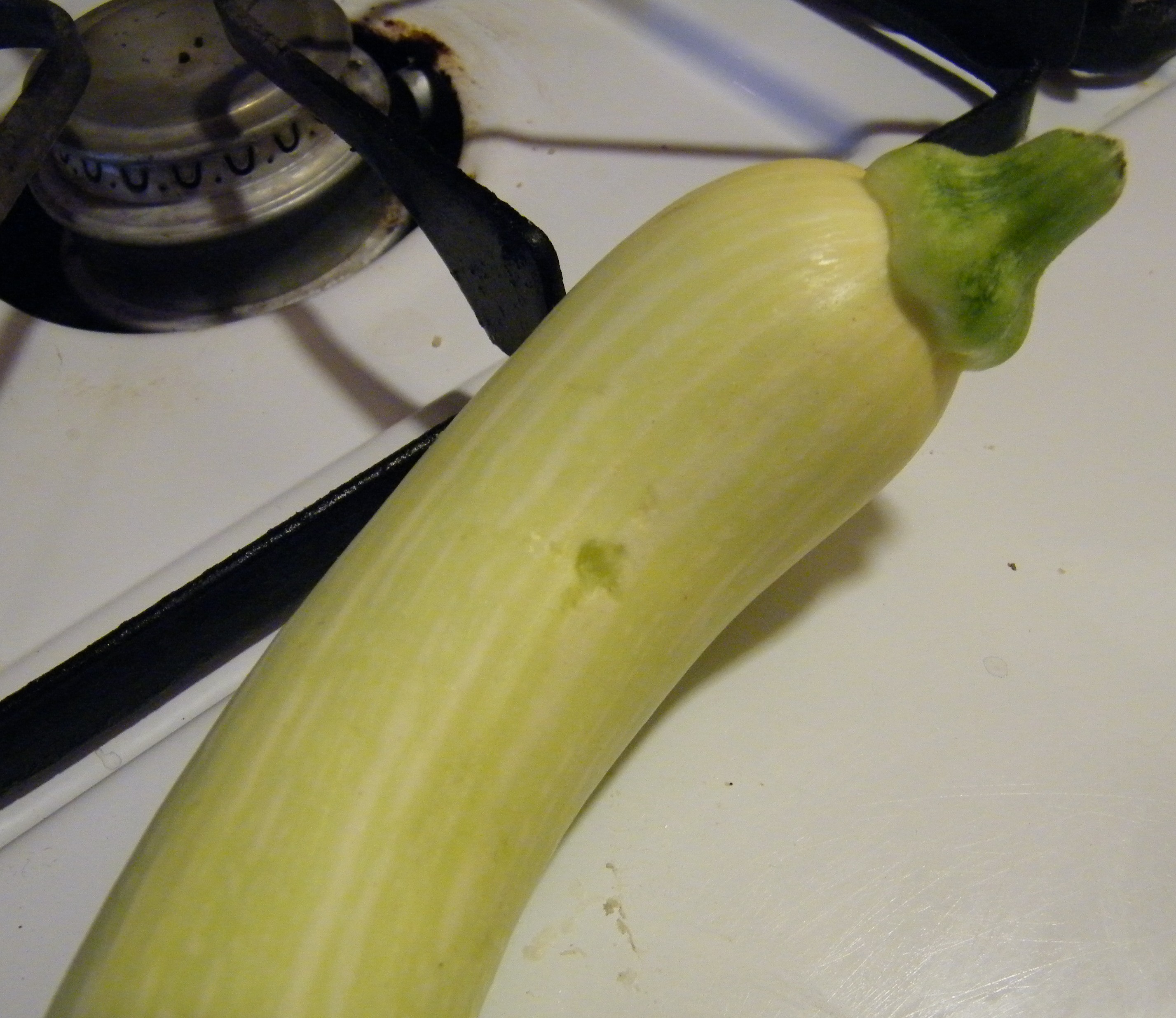 tromboncino | What is That and How Do I Eat It?